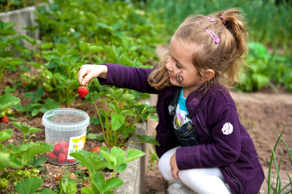 So planen und gestalten Sie ein kindgerechtes Gartenparadies - Garten Blog