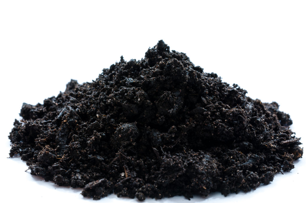 Die schwarze Wundererde für den Garten – Terra Preta - Garten Blog